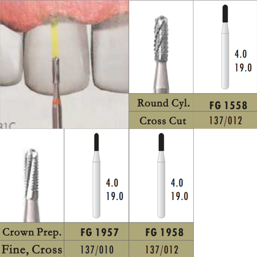 10pcs/set High Speed Dental Tungsten Steel Carbide... – Grandado