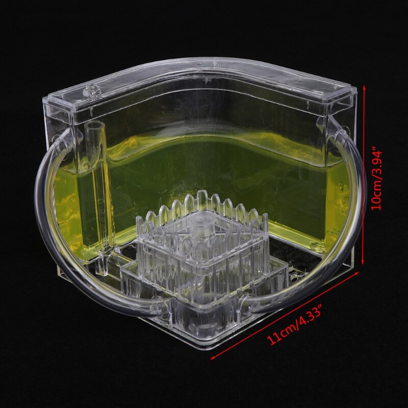 3D Ant Farm Educational Maze Live Feeding System A... – Grandado
