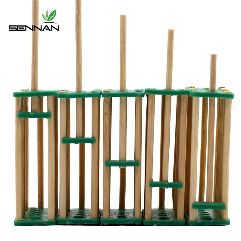 Sennan 10 Pcs Bee Tools Beekeeping Tools Bamboo Be... – Vicedeal