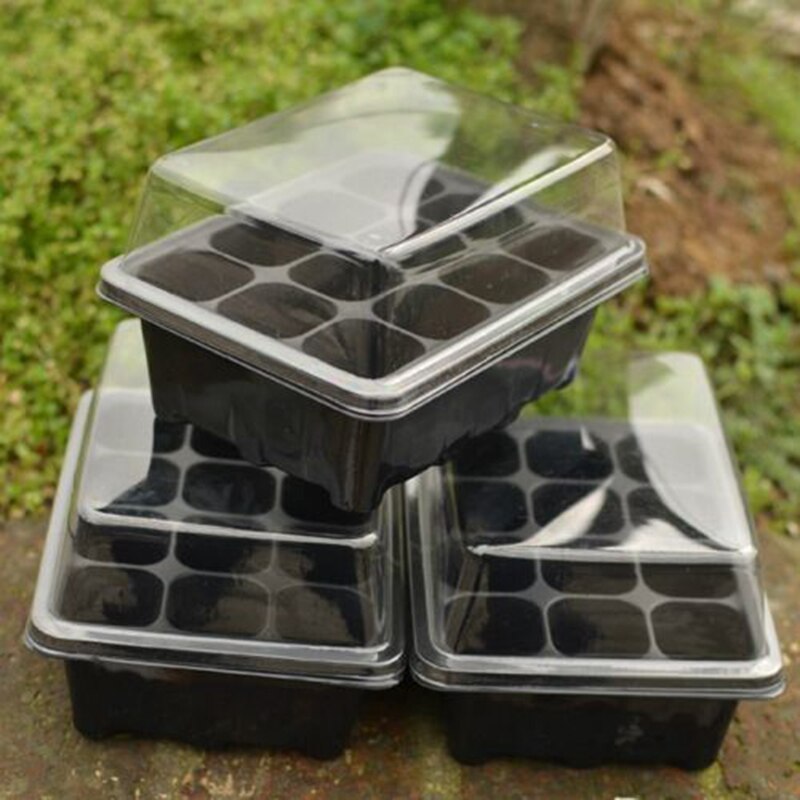 12 Hole Seedling Box Seed Starter Tray Starting Pl... – Grandado