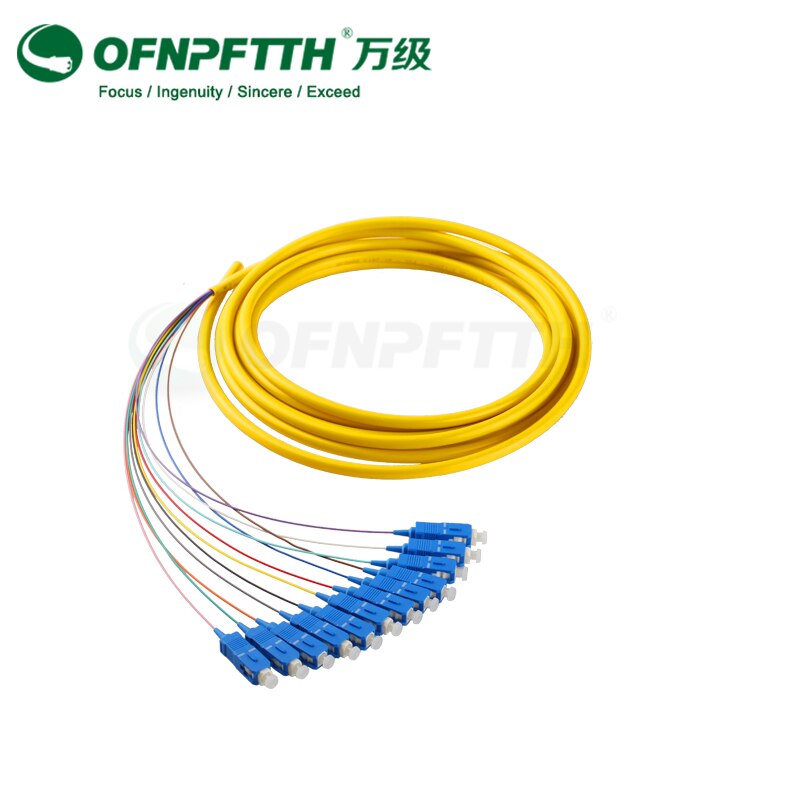 SC Fiber Optic Pigtail 12 cores Singlemode Bundle ... – Grandado