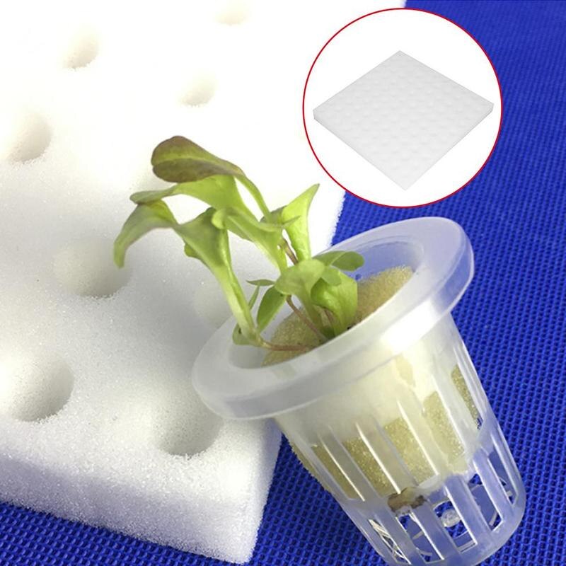 Hydroponic Sponge Planting Gardening Tool Seedling... – Grandado