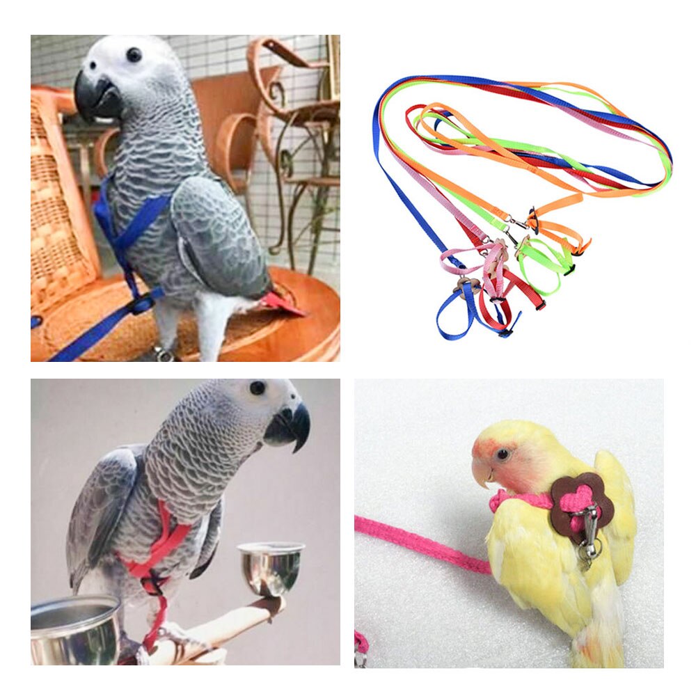 Adjustable Parrot Bird Harness Leash Outdoor Train... – Grandado