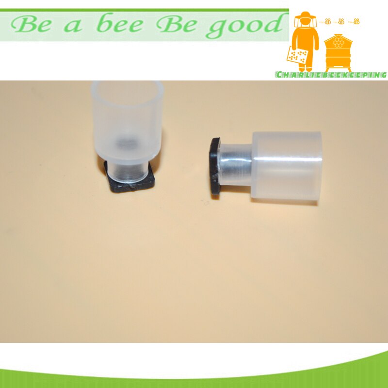 X1000 White Color Queen Cell Cups for CQR-3 CQR-3C... – Vicedeal