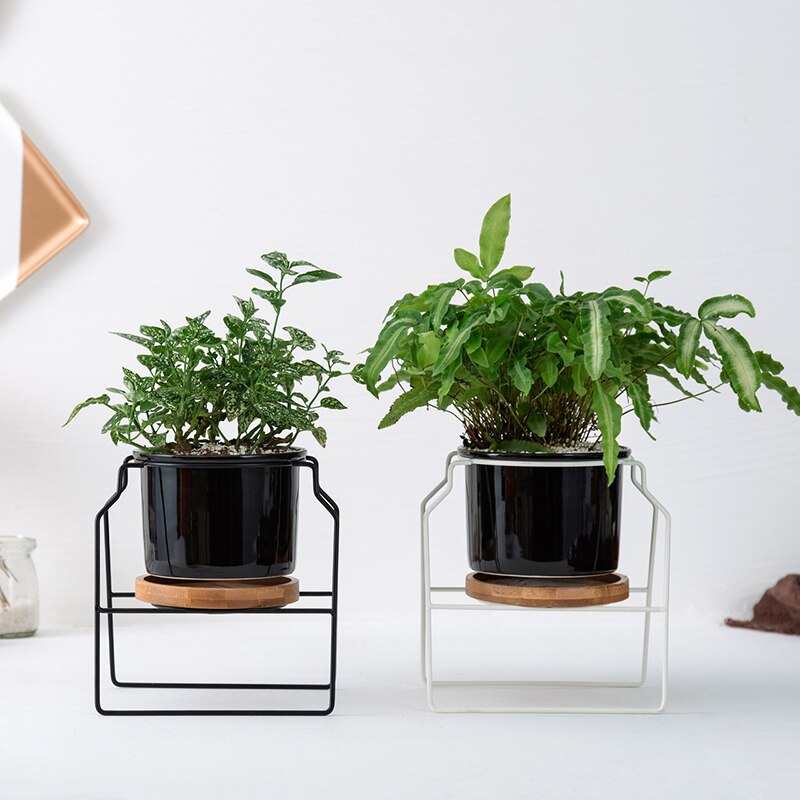 Modern Nordic Succulent Planter Stand Ceramic Flow... – Grandado