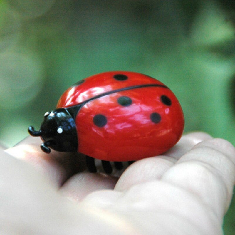 Cat Toys Exotic Electric Beetles Ladybug Simulated... – Grandado