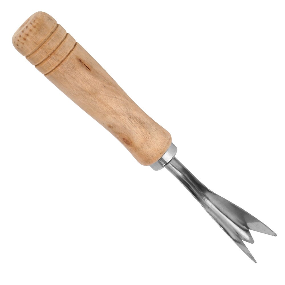 HILIFE V-shaped Wooden Handle Fork Pineapple Seed ... – Grandado