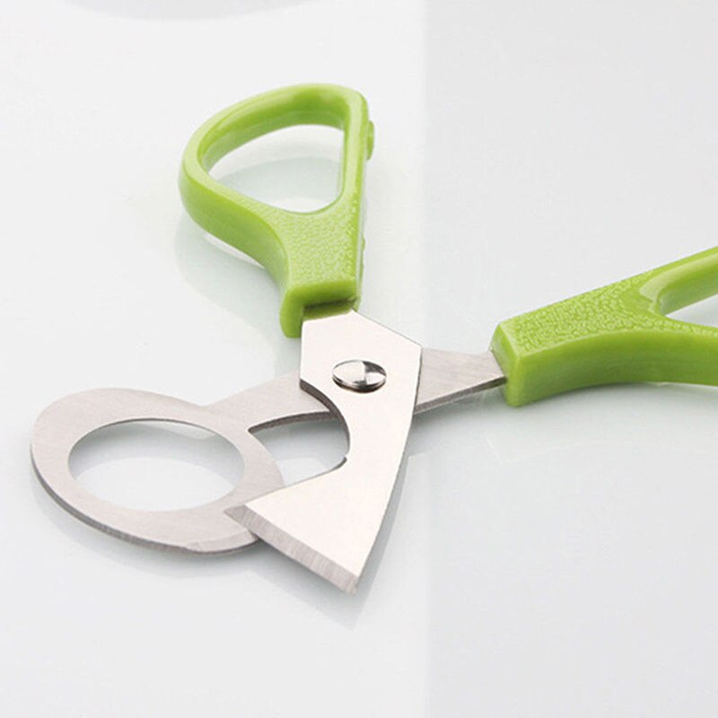 Stainless Steel Pigeon Quail Egg shells Scissors B... – Vicedeal