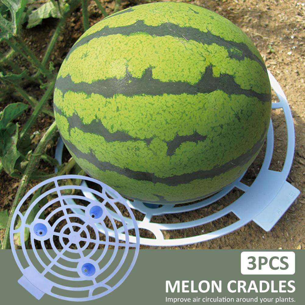 3PC Durable Multi Function Melon Squash Cradle Wat... – Grandado