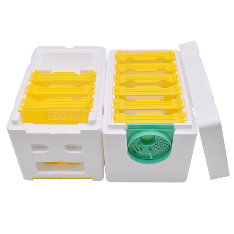 Beekeeping Queen Breeding Rearing Box Beekeeping S... – Vicedeal
