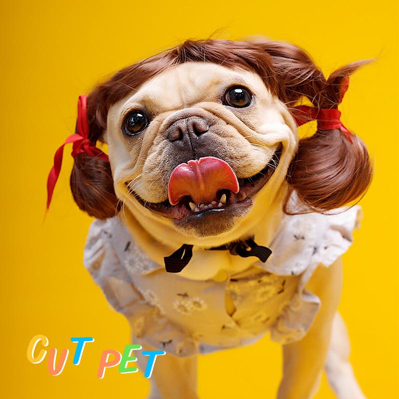 Pet Wig Cosplay Props Dog Cat Cross-Dressing Hair ... – Grandado