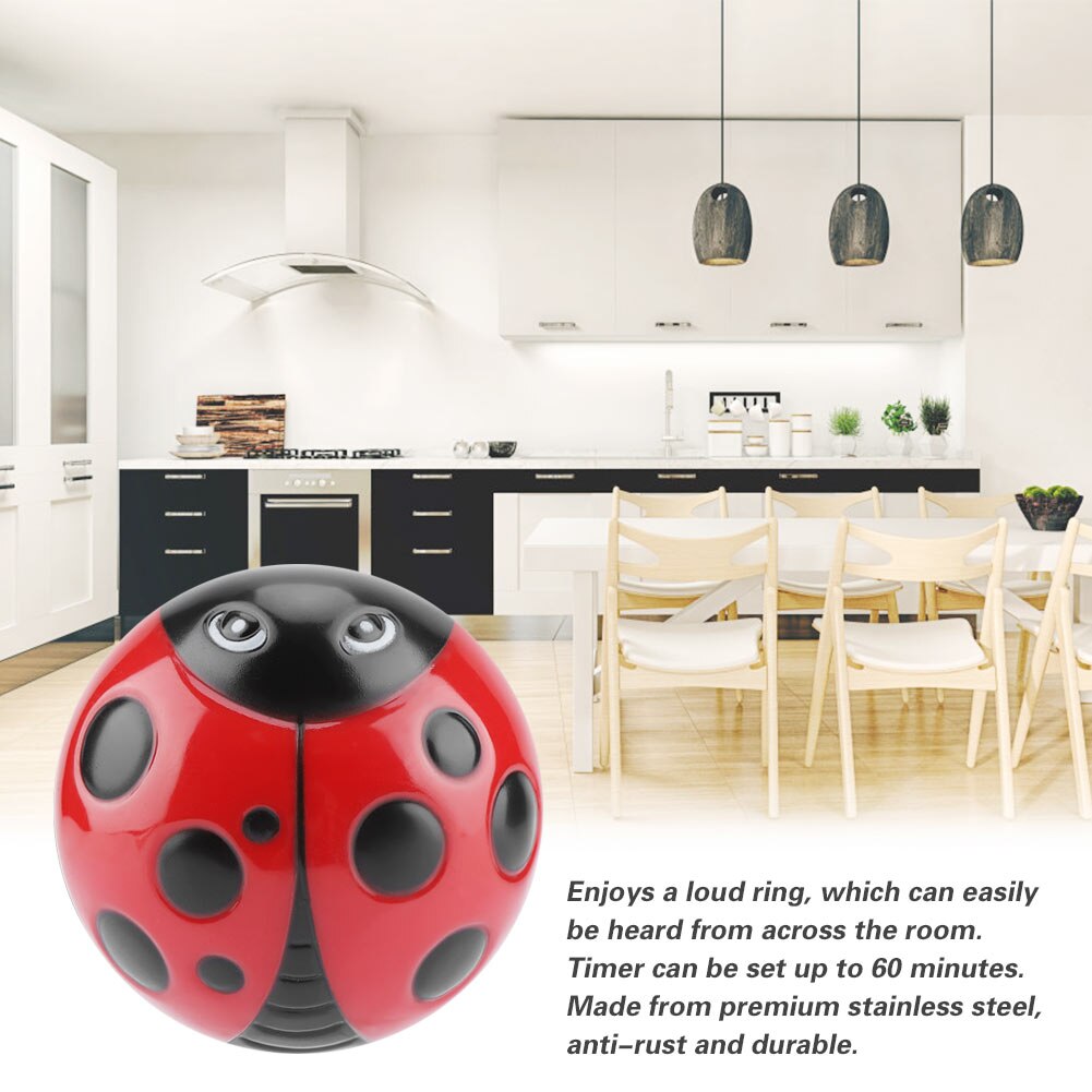 Kitchen 60-Minute Timer Ladybug-Shaped Rust-Proof ... – Grandado