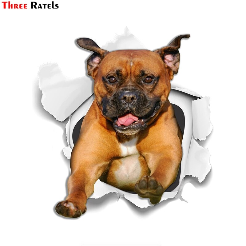 Three Ratels 3D Staffordshire Terrier Dog Stickers... – Grandado