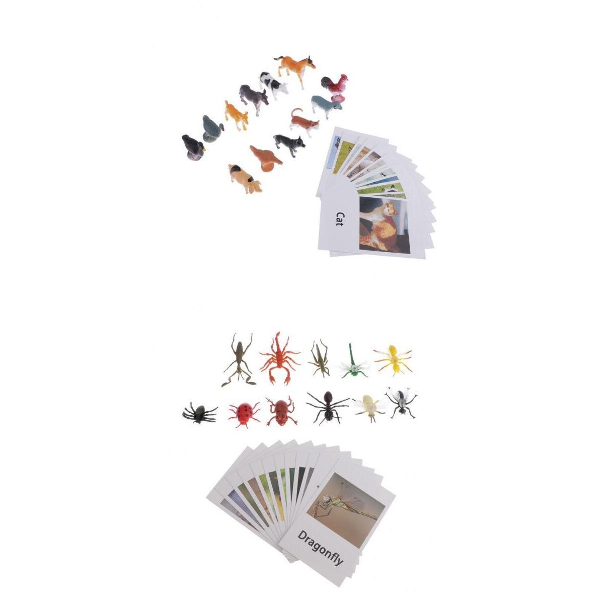 24Pcs Animals Model Card Homeschool Group Of Anima... – Grandado
