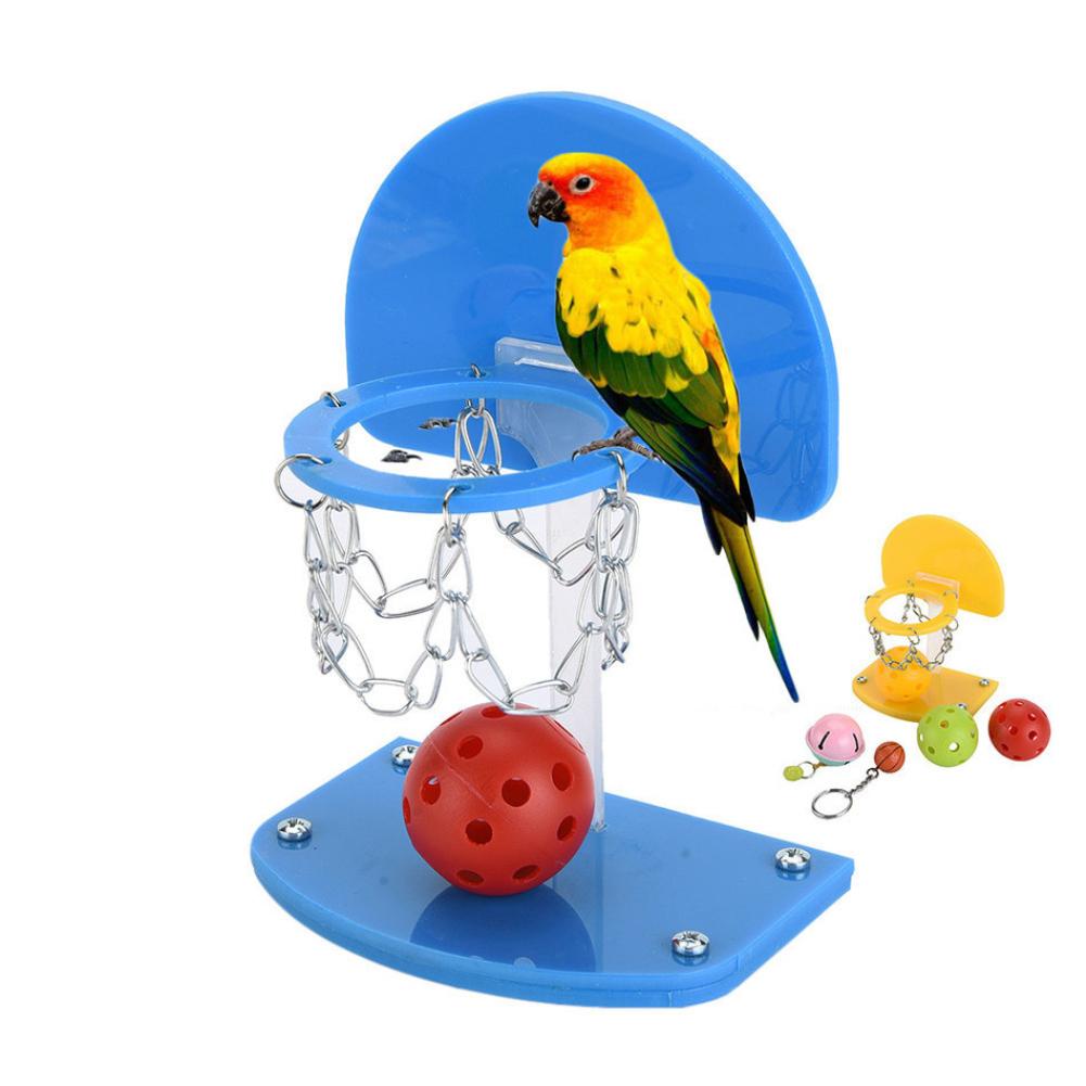 Mini Basketball Stands Hoop Pet Bird Parrot Toys P... – Grandado