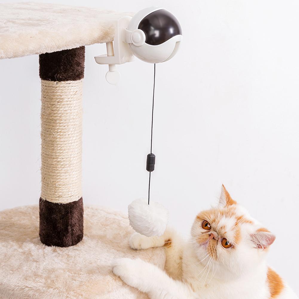 Electric Motion Cat Toy Cat Teaser Ball Toy Automa... – Grandado
