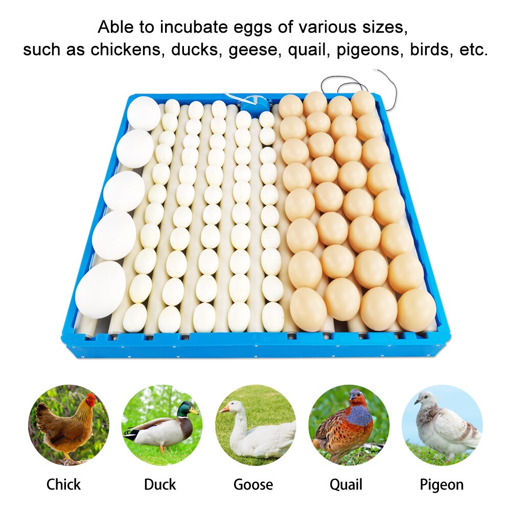 98 Egg Trays, Automatic Flipping, Poultry Hatching... – Grandado