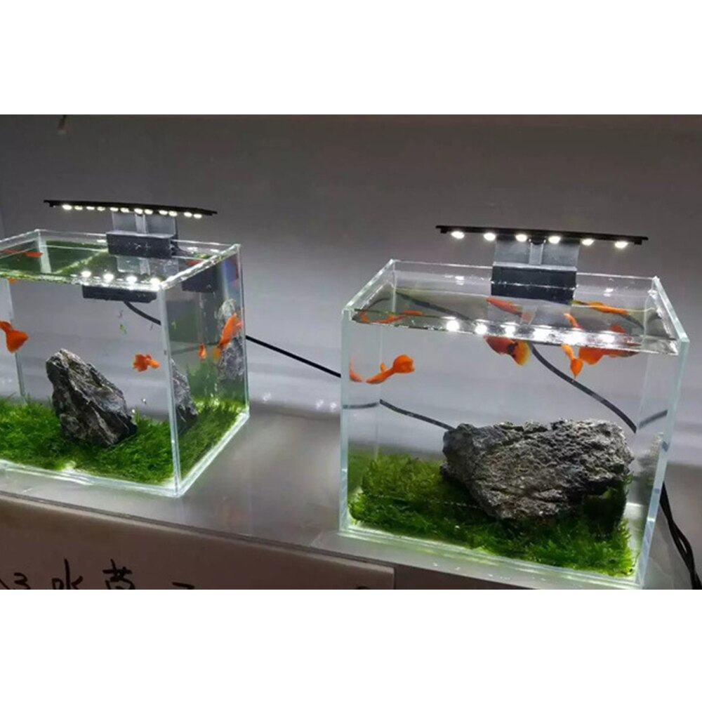European Plug Fish Tank LED Clip Light Aquariums L... – Grandado