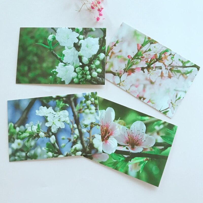 30 Sheets/Set Cute Flower Postcard Message Card St... – Grandado