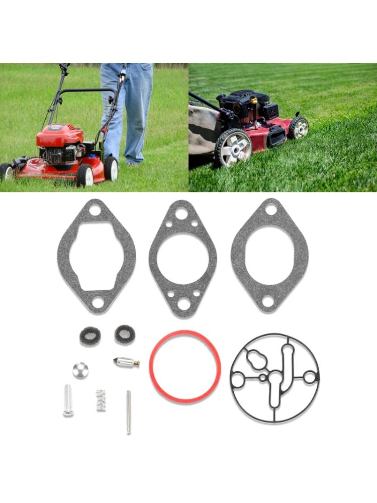Briggs & Stratton 696146 Carburateur Revisie Kit – Grandado