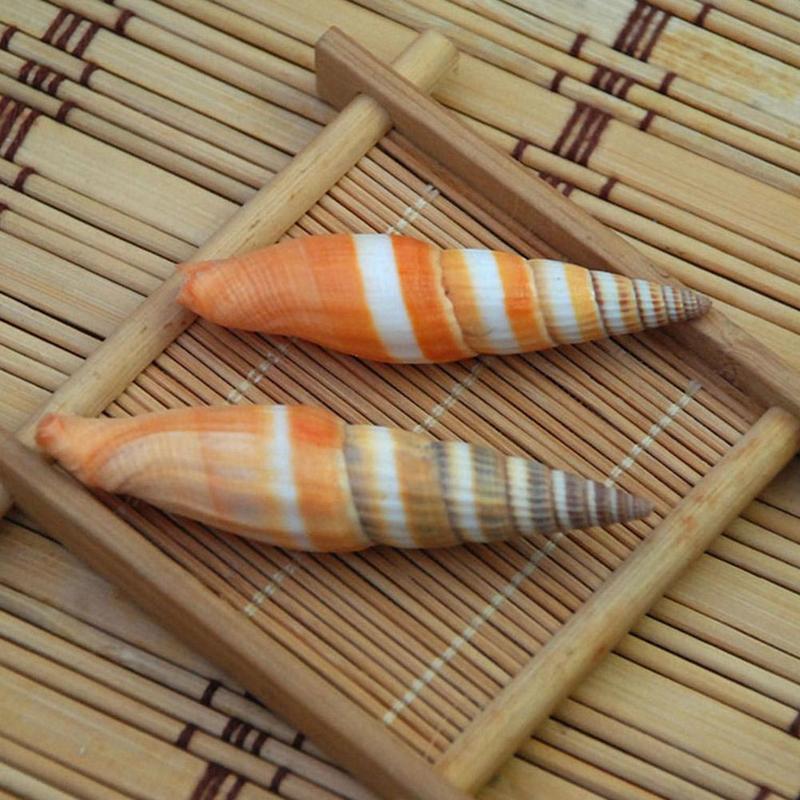 Small Large Rainbow Abalone Shell Charm Beach Seas... – Grandado