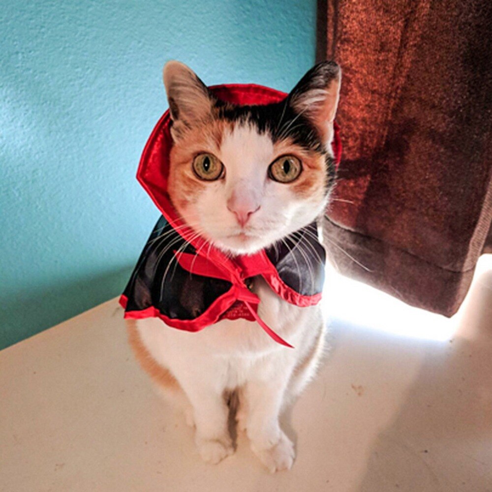 Halloween Haustier Katze Hund Kostüme Nette Cospla... – Vicedeal