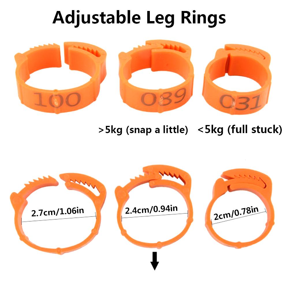 100 Pcs Inside Diameter 2.0 Cm Chicken Ring Hen Pi... – Vicedeal