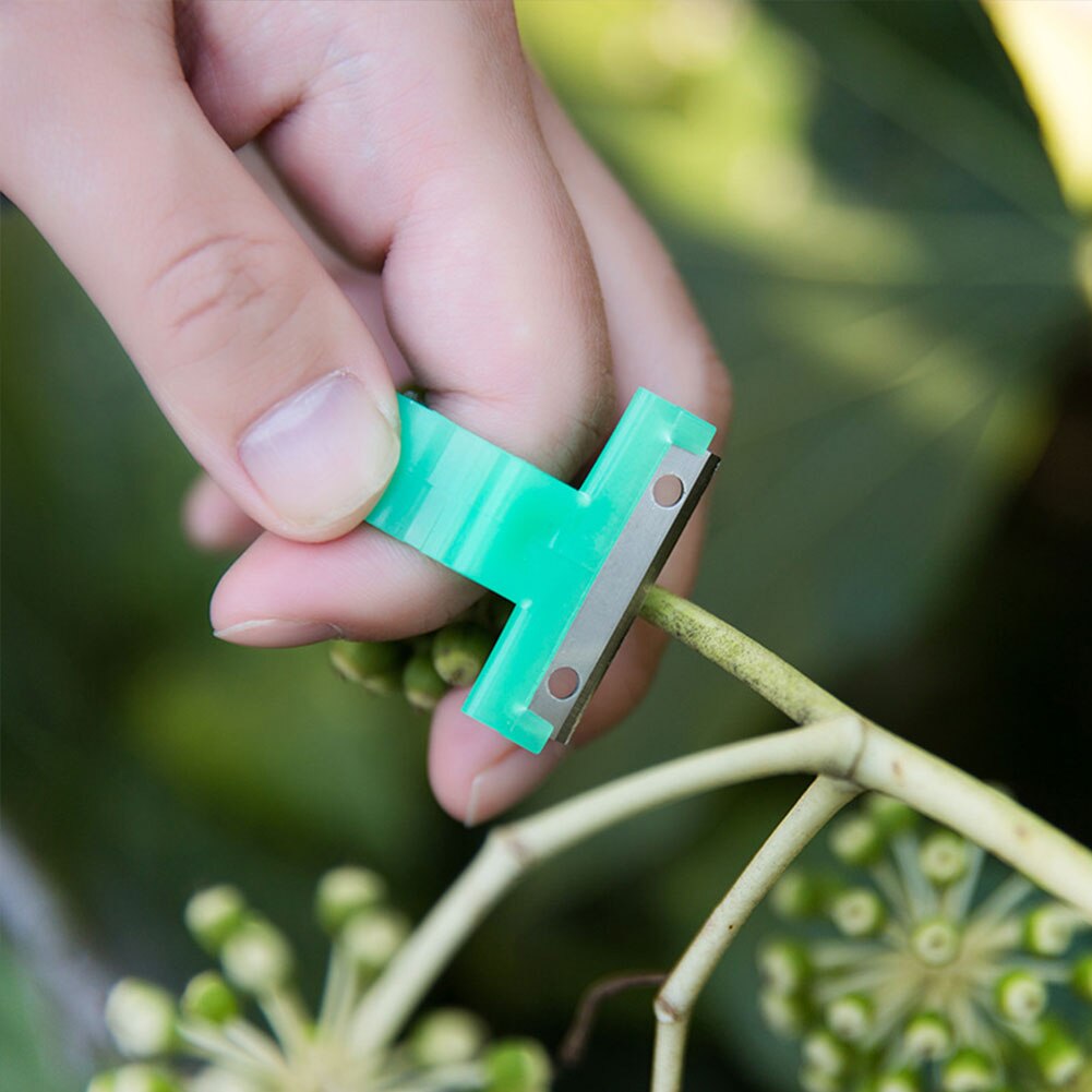 Garden Pruner By Hand Tomato Cucumber Grape Fruit ... – Vicedeal