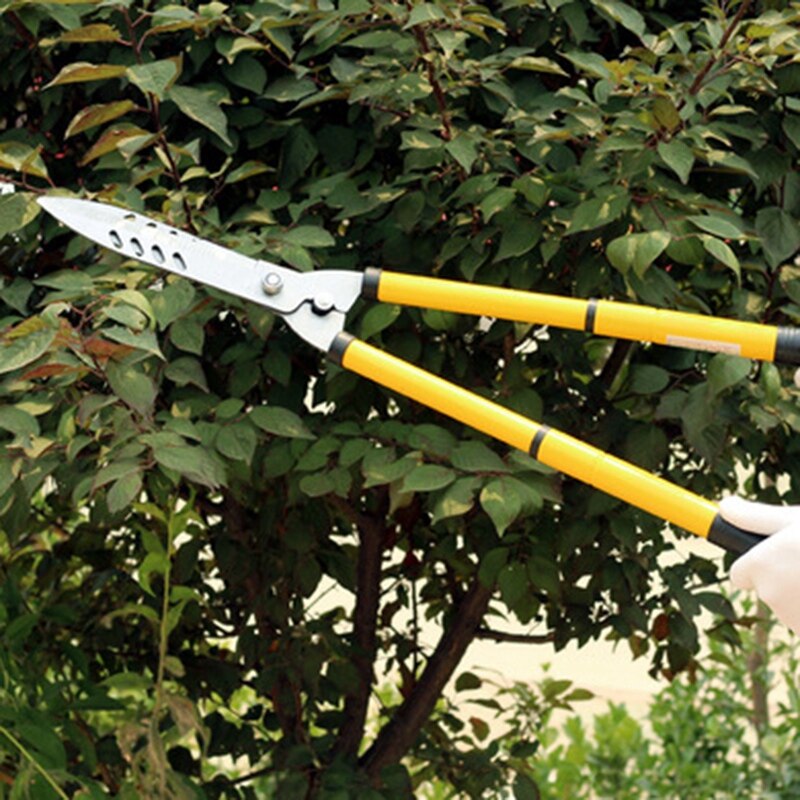 Hedge Clipper Pruning Shears Extendable Gardening ... – Grandado
