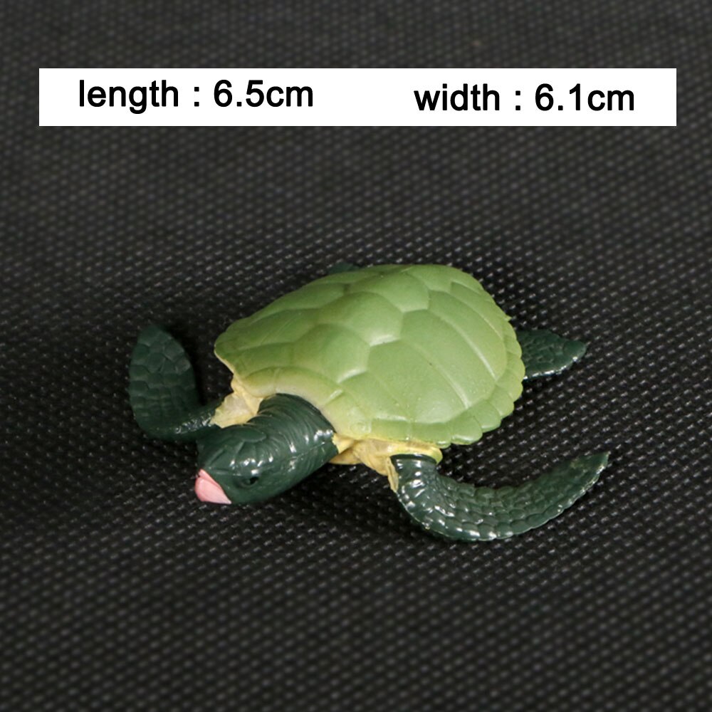 Simulation Animals Growth Cycle Life Model Set Ant... – Grandado