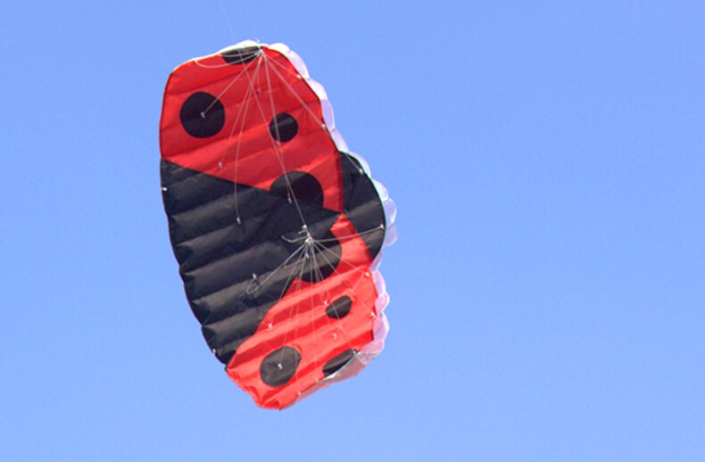Neue 1,4 m Marienkäfer Dual Linie Parafoil Fallsch... – Grandado