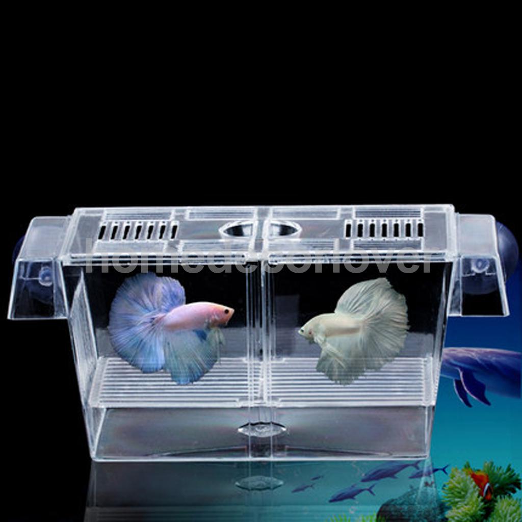 Aquarium Tank Breeding Incubator Breeder Baby/Fry/... – Grandado