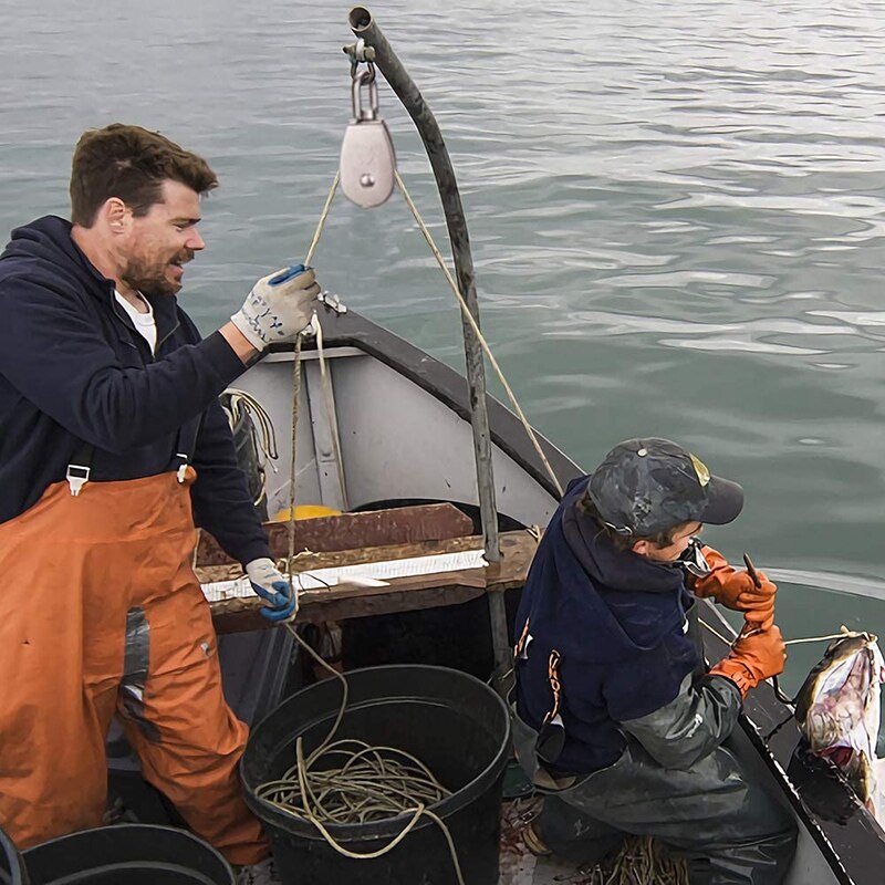 6 Pack M32 Lifting Enkele Katrol Roller 304 Rvs He... – Vicedeal