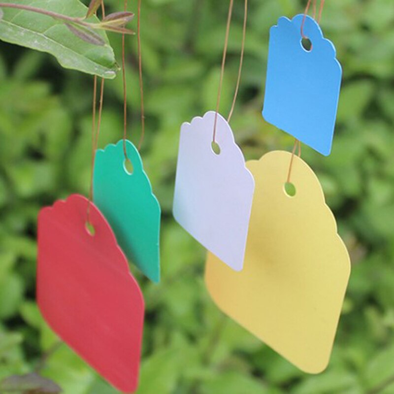 100pcs Plants Hang Tag Hanging Tags Waterproof Str... – Grandado
