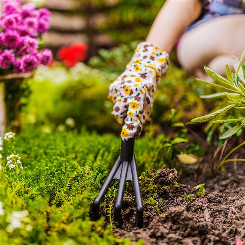 Garden Rake Useful Three Teeth Agricultural Rake F... – Grandado