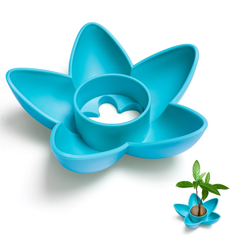 Planting Bowl Plant Indoor Kitchen Garden Practica... – Grandado