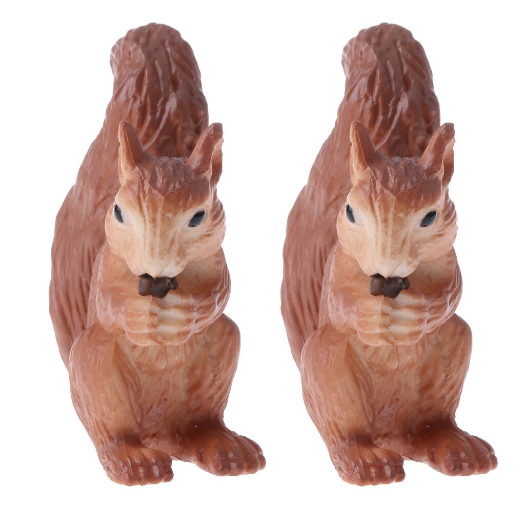 2 Plastic Squirrel Educational Animal Figure Model... – Grandado