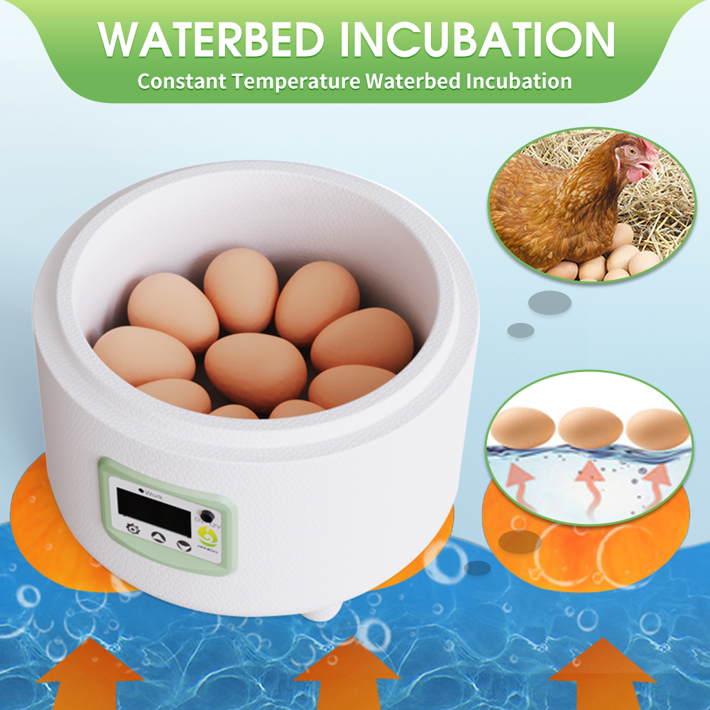 9 Eggs Incubator Simple operation Chicken, Duck an... – Vicedeal