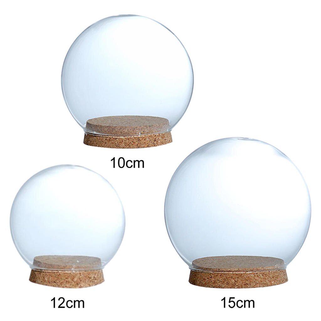 Glas Dome Display Hout Kurk Bell Jar Cover Cloche ... – Vicedeal