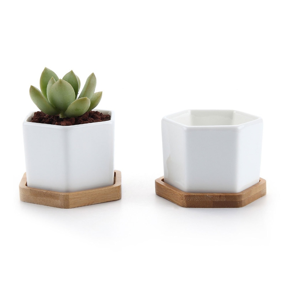 Set of 2 Hexagon Ceramic Flower Pot for Cactus Suc... – Vicedeal