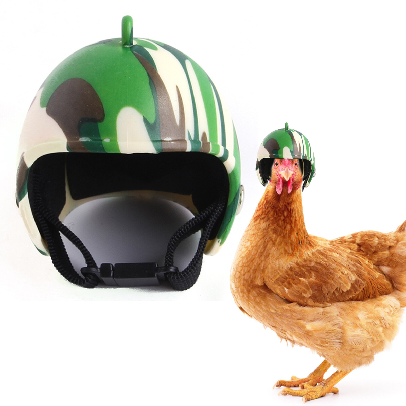 Mini Helmet Pet Helmet Funny Protective Chicken He... – Grandado