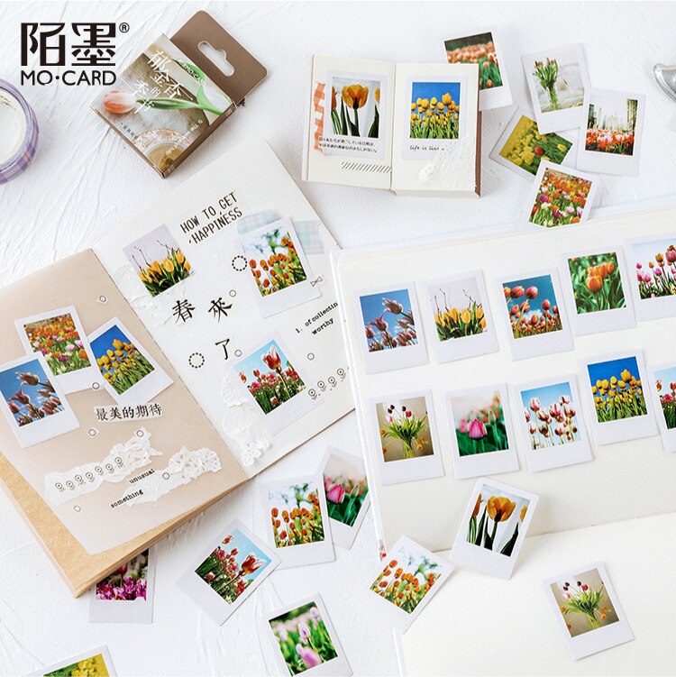 46pcs/lot Tulip Flowers Season Stationery Stickers... – Grandado