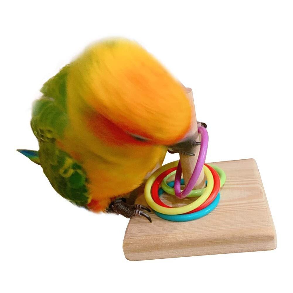Parrots Training Rings Toy Parrot Stacking Ring To... – Grandado