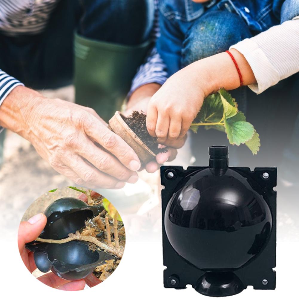 Plant Rooting Box Reusable Plant Propagation Ball ... – Grandado