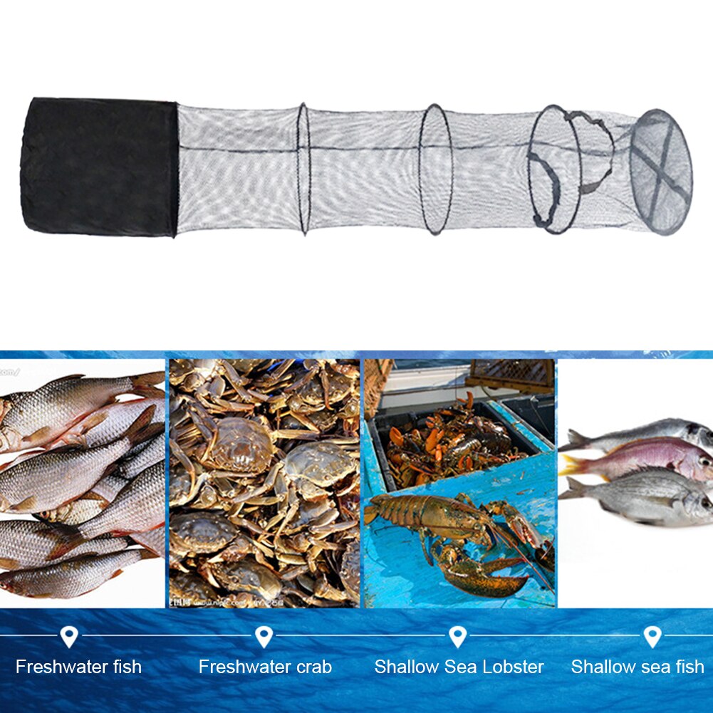 5-Layers Collapsible Fishing Cage Folding Goods Me... – Grandado