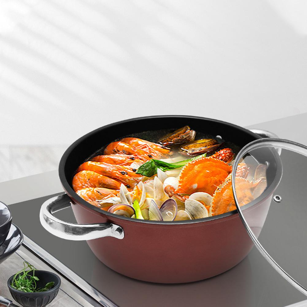 Home Induction Cooker Soup Pot with Double Ear Dee... – Grandado