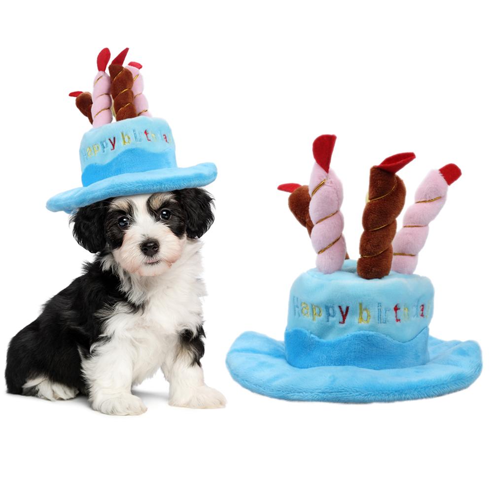 Pet Birthday Hat For Cats And Dogs Puppy Cake Cap ... – Grandado