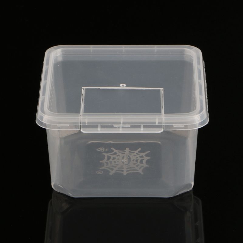 Reptile Terrarium Feeder Breeding Box Tortoise Spi... – Grandado