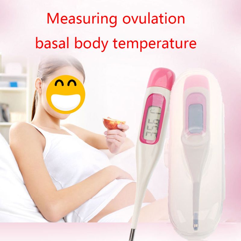 Female Ovulation Digital Thermometer LCD Basal Mea... – Vicedeal
