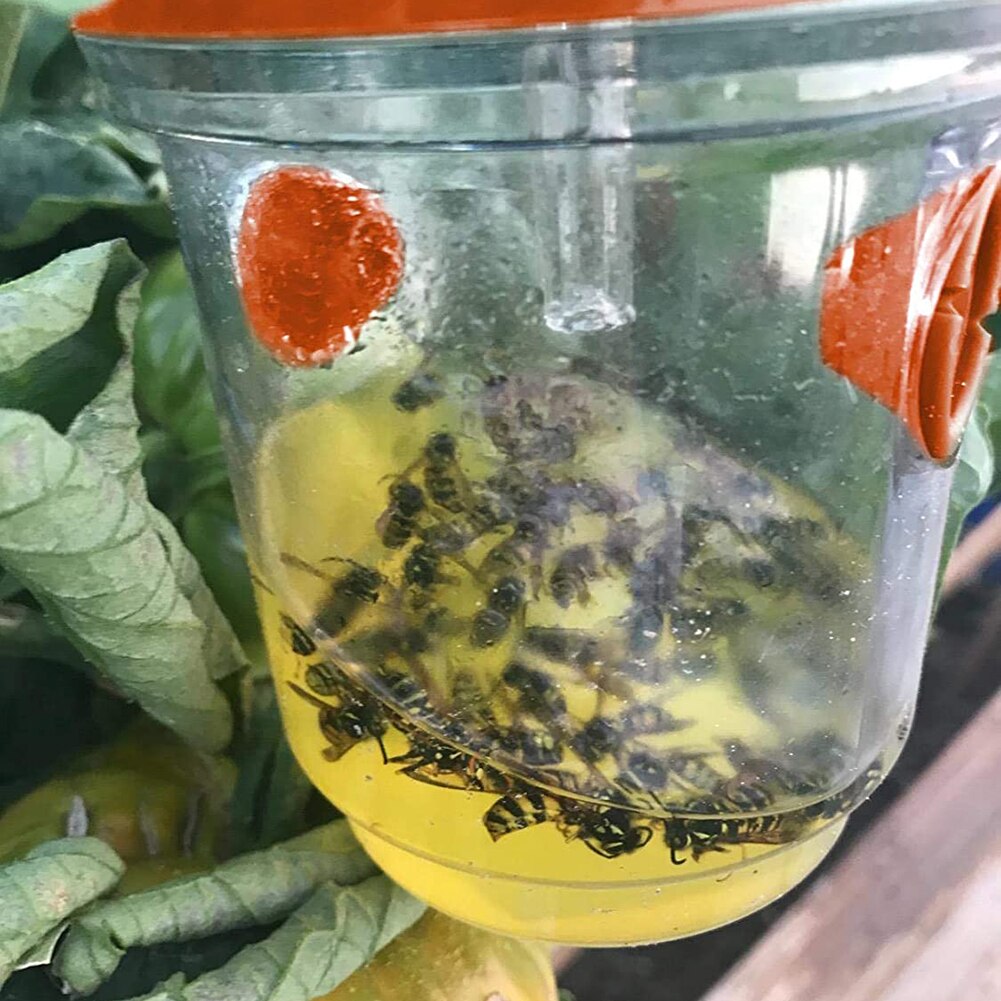 Outdoor Garden Solar Power Hanging Bee Catcher Reu... – Grandado